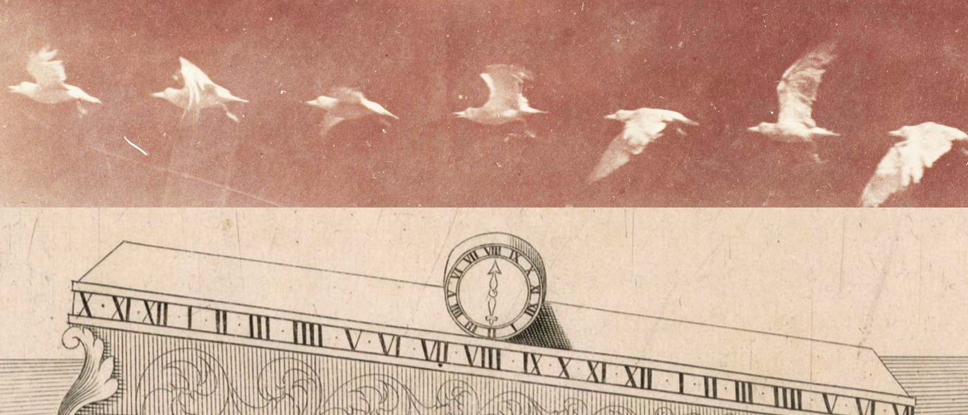 A timeline of TSW's beginnings and becomings - Seventh Wave